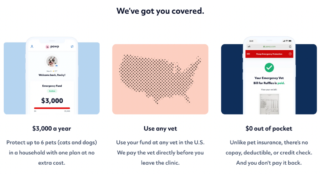 Pawp Is on a Mission to End Economic Euthanasia for Pets in the U.S ...